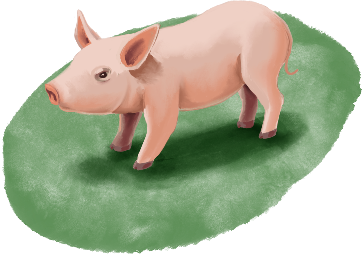 3 Animal Illustrations | Travis Gore Illustration and Design